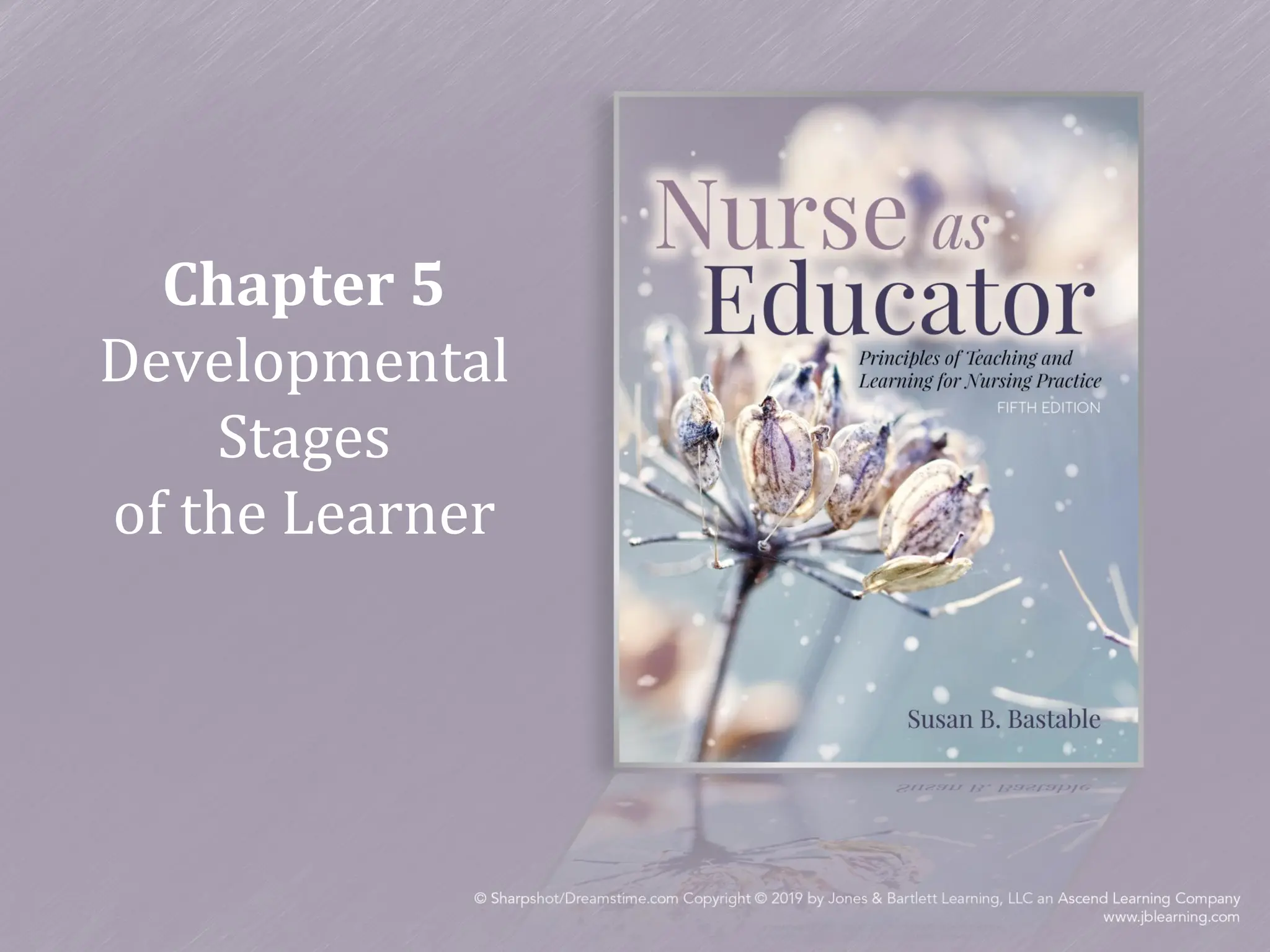 Stages-of-the-Learner.Health_Education_in_Nursing_pdf | PDF