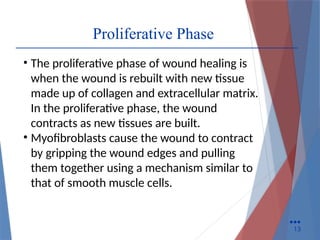 Stages-of-Wound-Healing=Medical-ppt.pptx