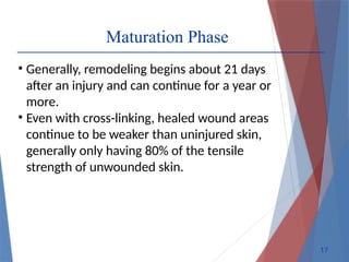 Stages-of-Wound-Healing=Medical-ppt.pptx