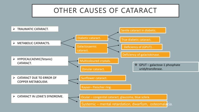 Stages and clinical features of cataract.pptx | Eye and Vision ...