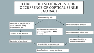 Stages and clinical features of cataract.pptx