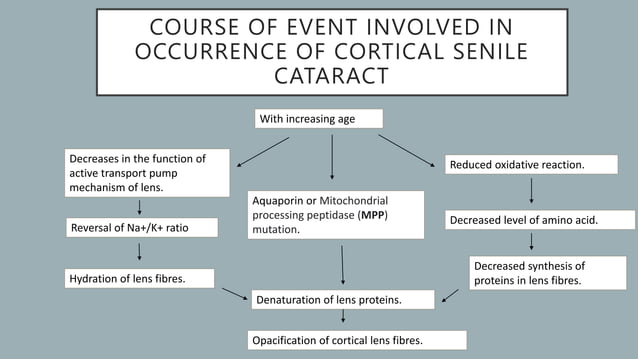 Stages and clinical features of cataract.pptx | Eye and Vision ...
