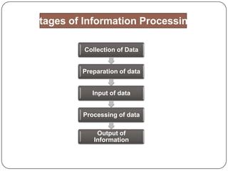 Stages and components of ip | PPT