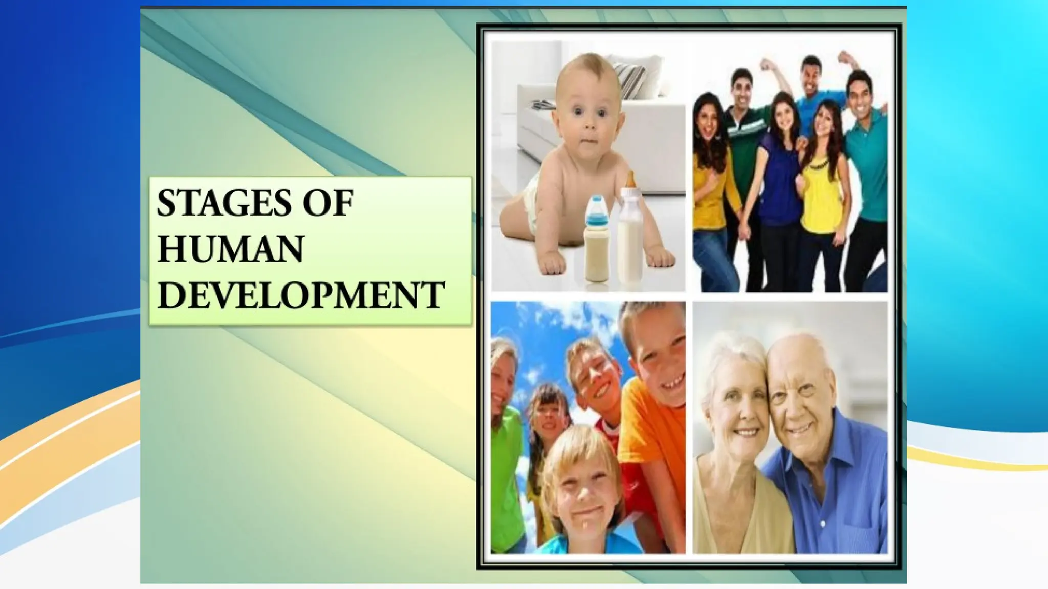 STAGES IN HUMAN DEVELOPMENT.a progressive series of changes that occur ...