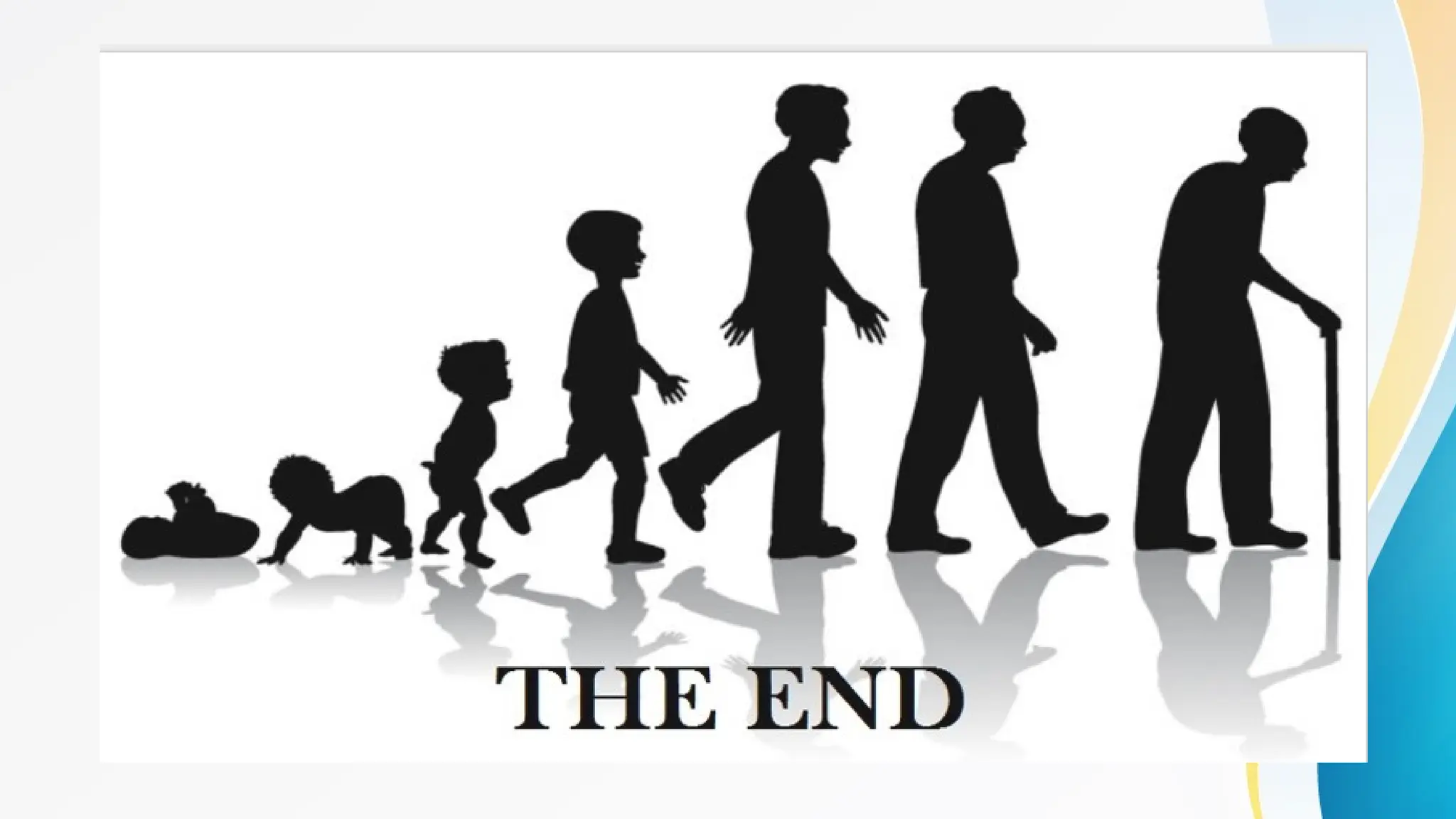 STAGES IN HUMAN DEVELOPMENT.a progressive series of changes that occur ...