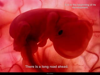 Stages Of Baby | PPS