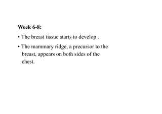 Stages of Breast Development.pdf 🙏🙏🙏🙏 | PDF