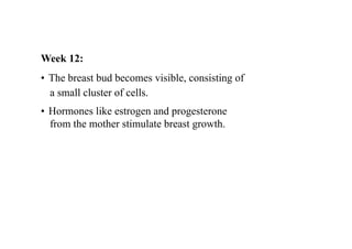Stages of Breast Development.pdf 🙏🙏🙏🙏 | PDF