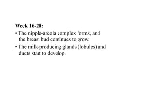 Stages of Breast Development.pdf 🙏🙏🙏🙏 | PDF