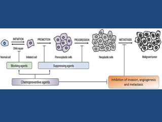 Stages of carcinogenesis | PPT
