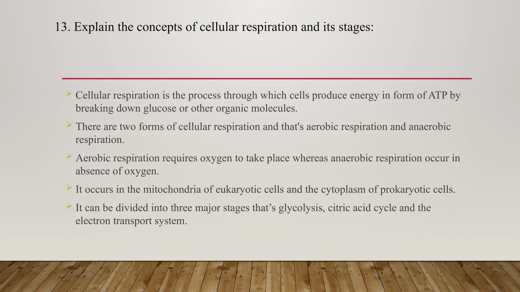 stages of cellular respiration for students.pptx