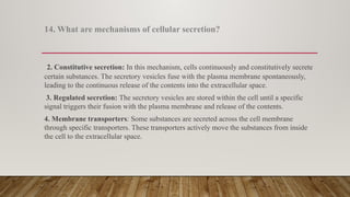 stages of cellular respiration for students.pptx