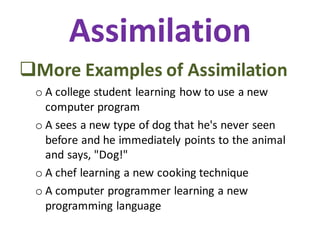 Stages of Cognitive Development unit 2.pdf | Parenting Babies and ...