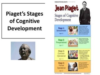 Stages of Cognitive Development unit 2.pdf | Parenting Babies and ...