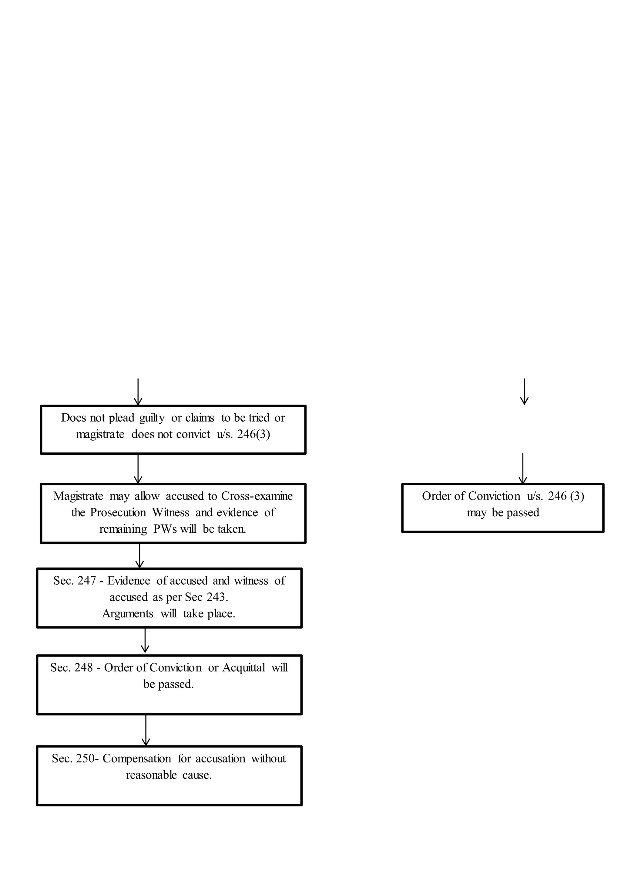 Stages of Criminal Trial (Warrant) | DOCX
