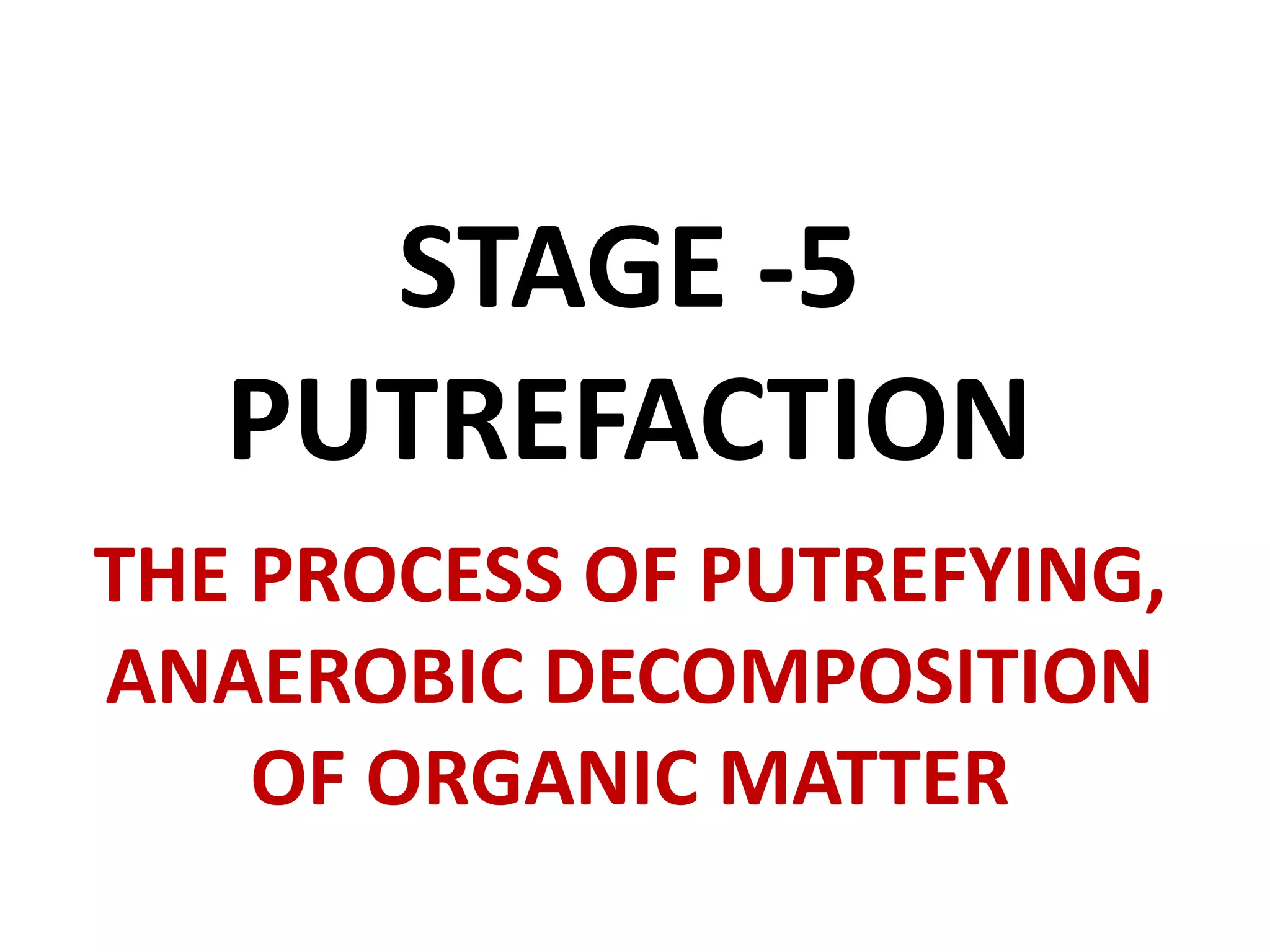 Stages of death(nursing foundation) | PPTX
