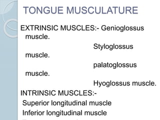 Stages of deglutition and tongue thrusting | PPTX
