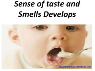 Stages of Development | PPTX