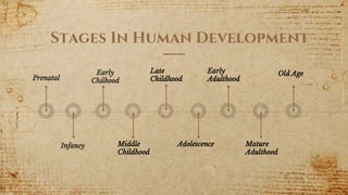 Stages Of Human Development From Birth To Adulthood