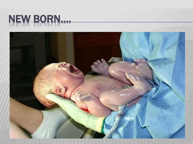 Stages of development: Infancy | PPTX | Pregnancy | Reproductive Health