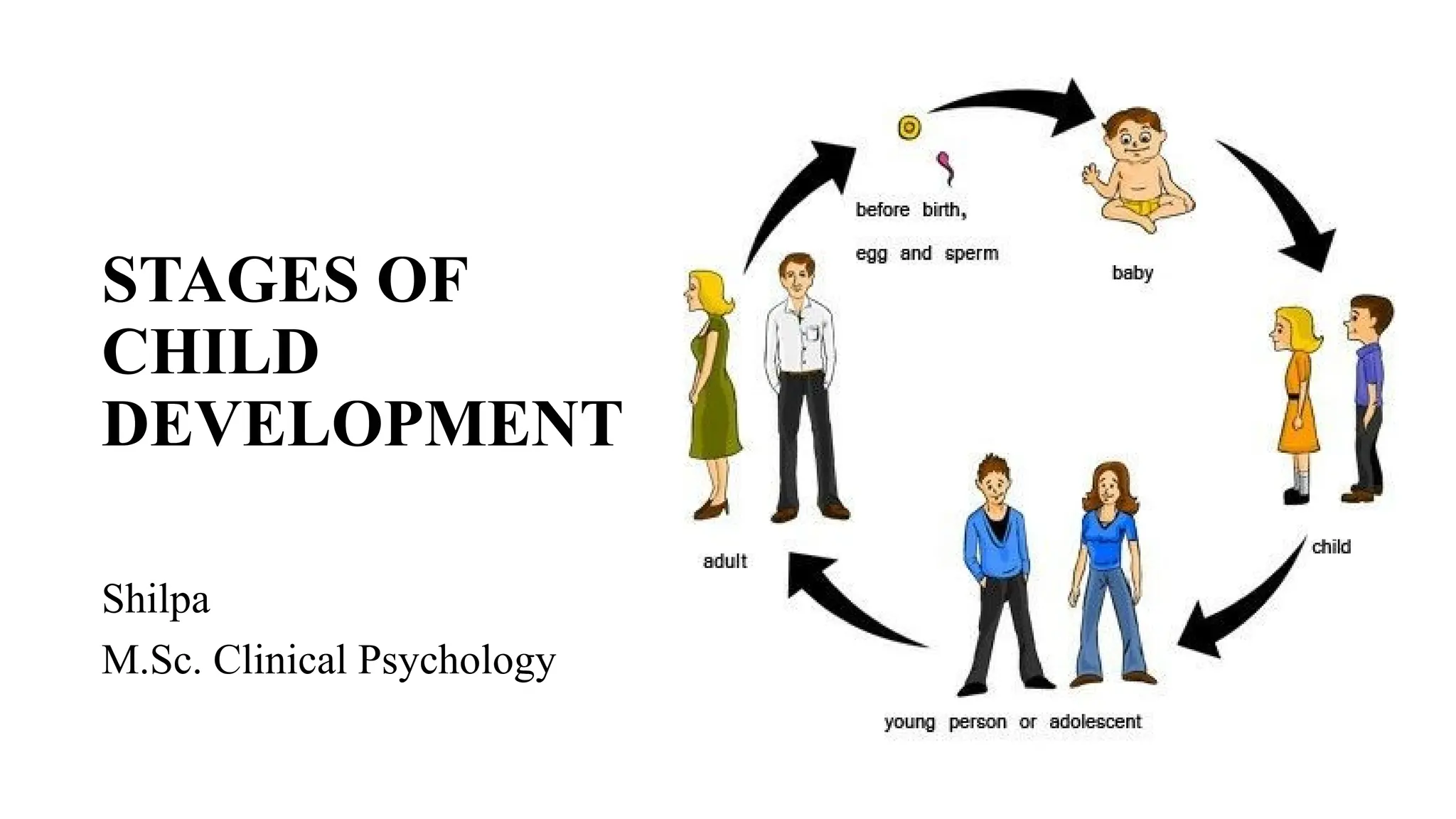 Stages of Human Development : Prenatal Period to Old Age | PPTX