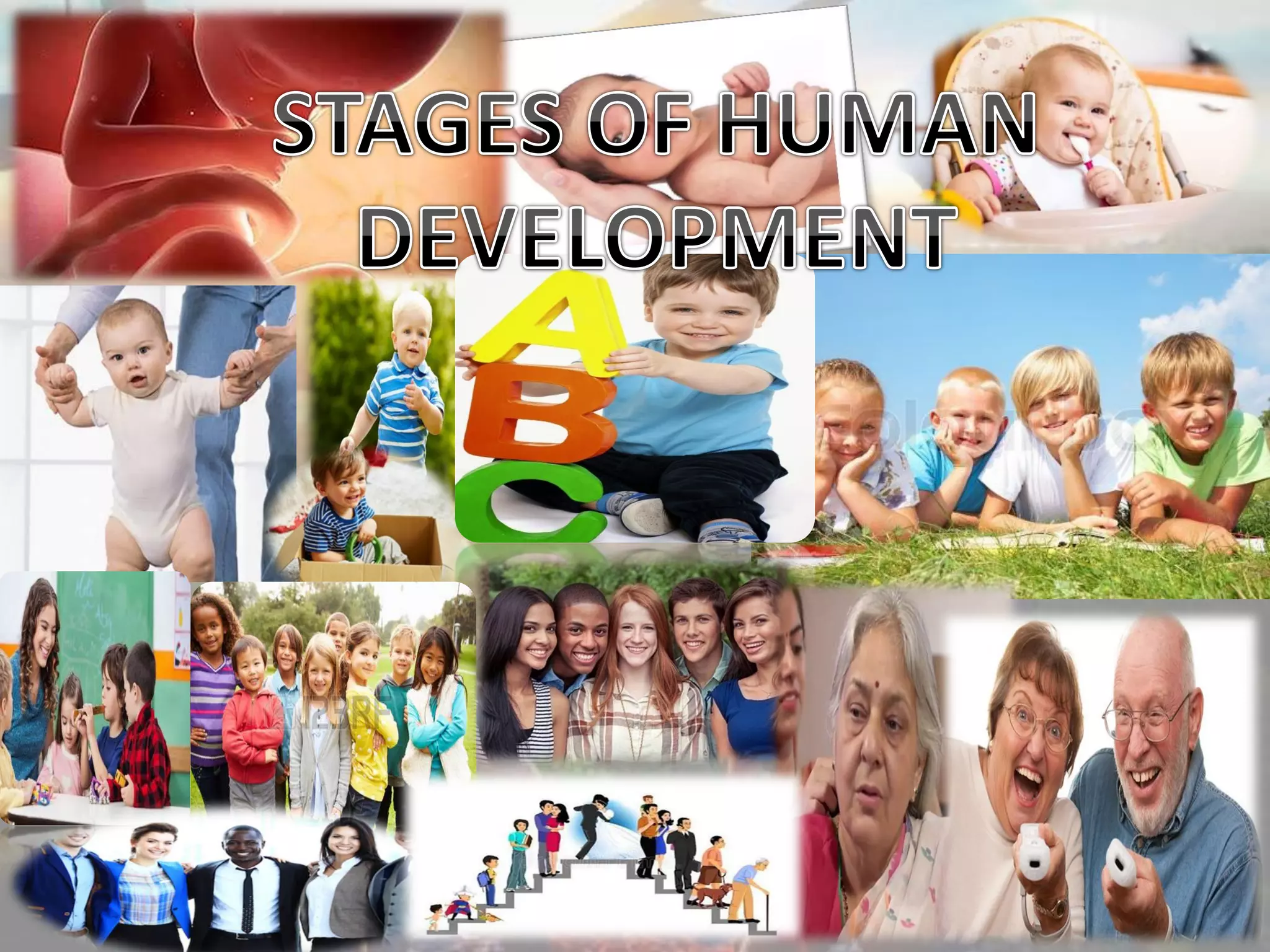Stages of development | PDF
