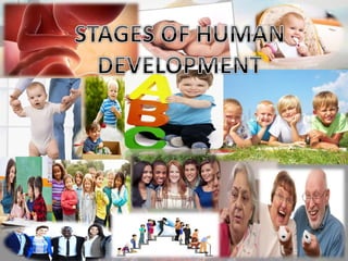 Human Maturity Stages