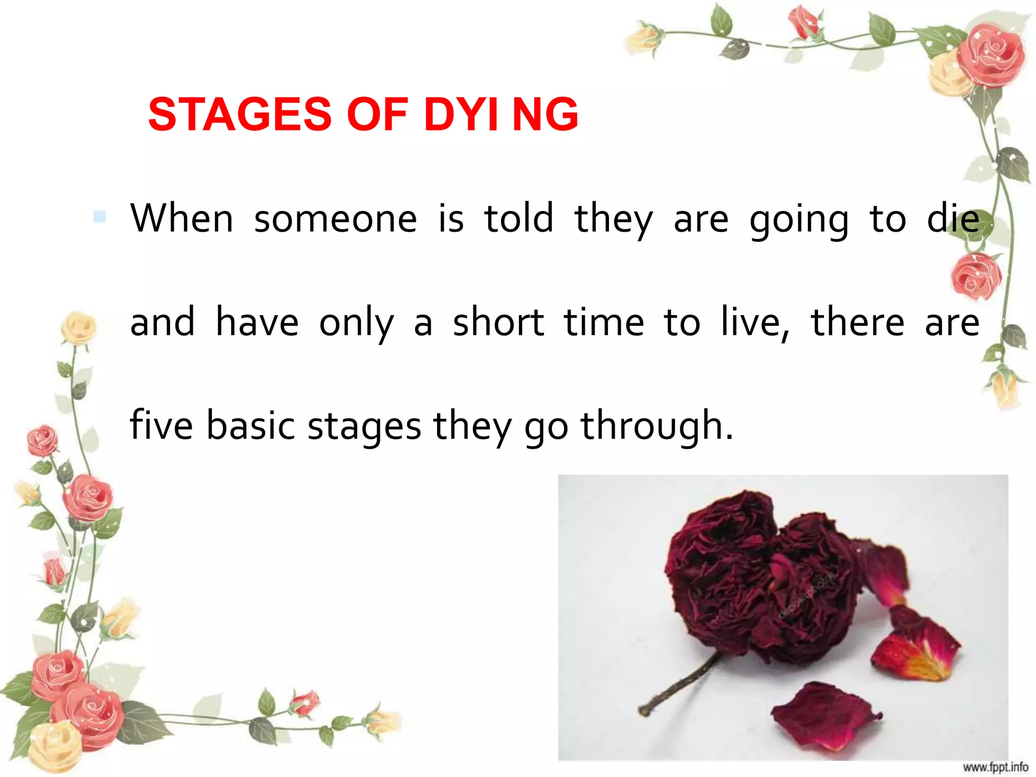 Stages of dying | PPT