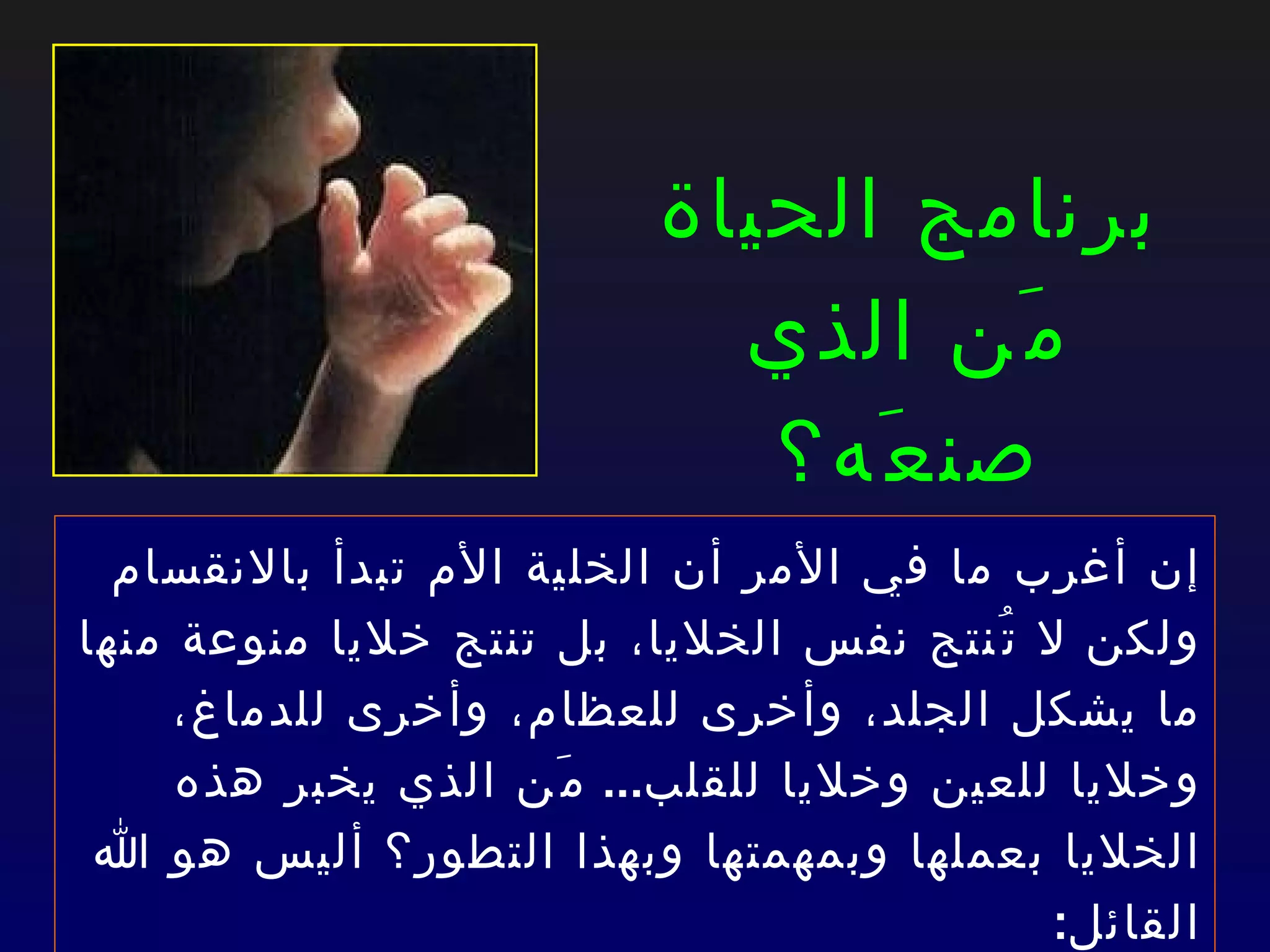 Stages of embryo development | PPS