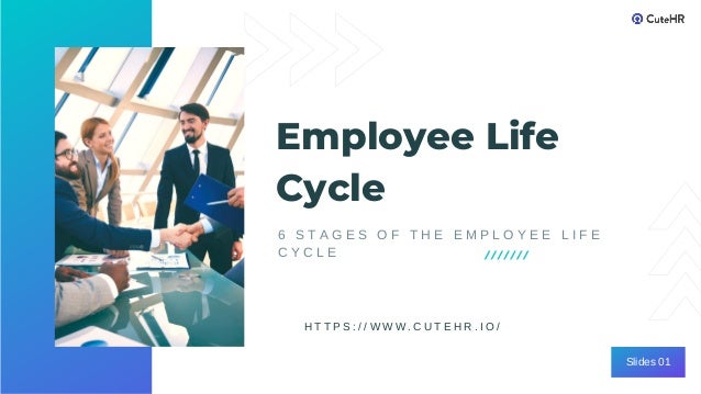 Stages of Employee life cycle.pdf