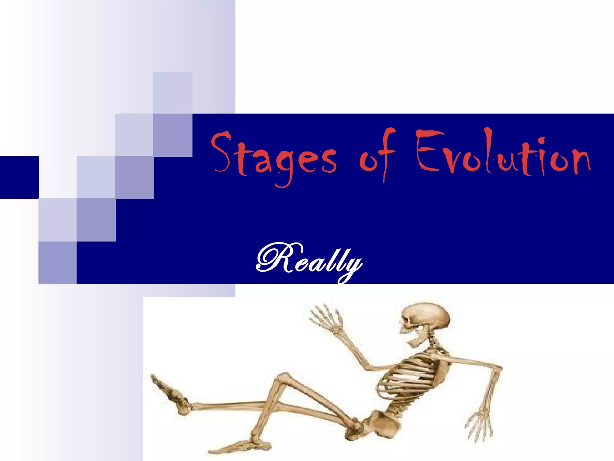 Stages of evolution | PPT