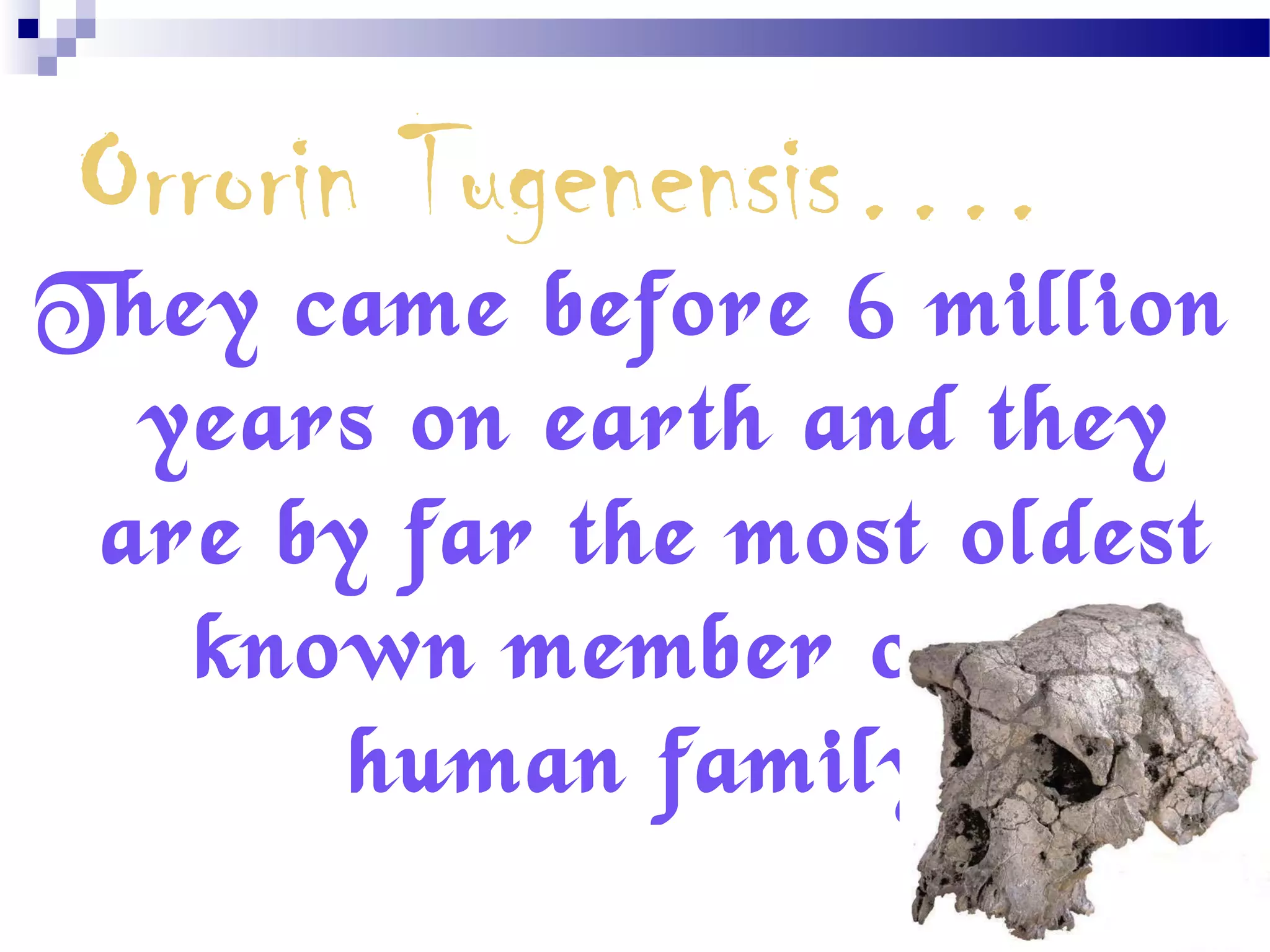 Stages of evolution | PPT