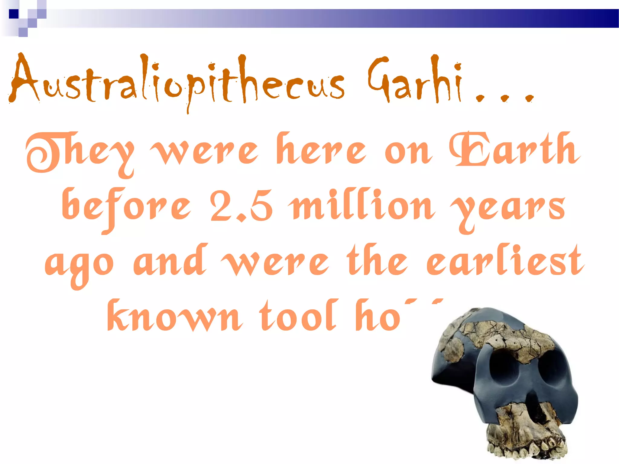 Stages of evolution | PPT