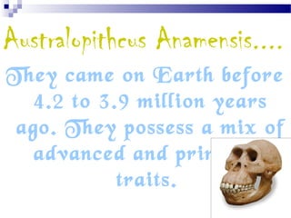 Stages of evolution | PPT