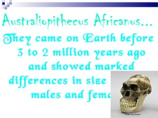 Stages of evolution | PPT