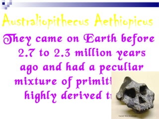 Stages of evolution | PPT