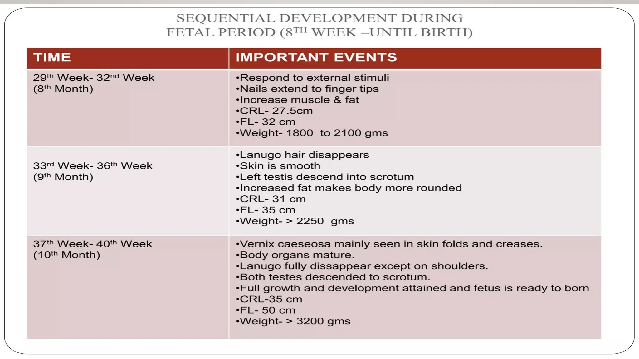 stages of fetal development physiology of pregnancy | PPTX