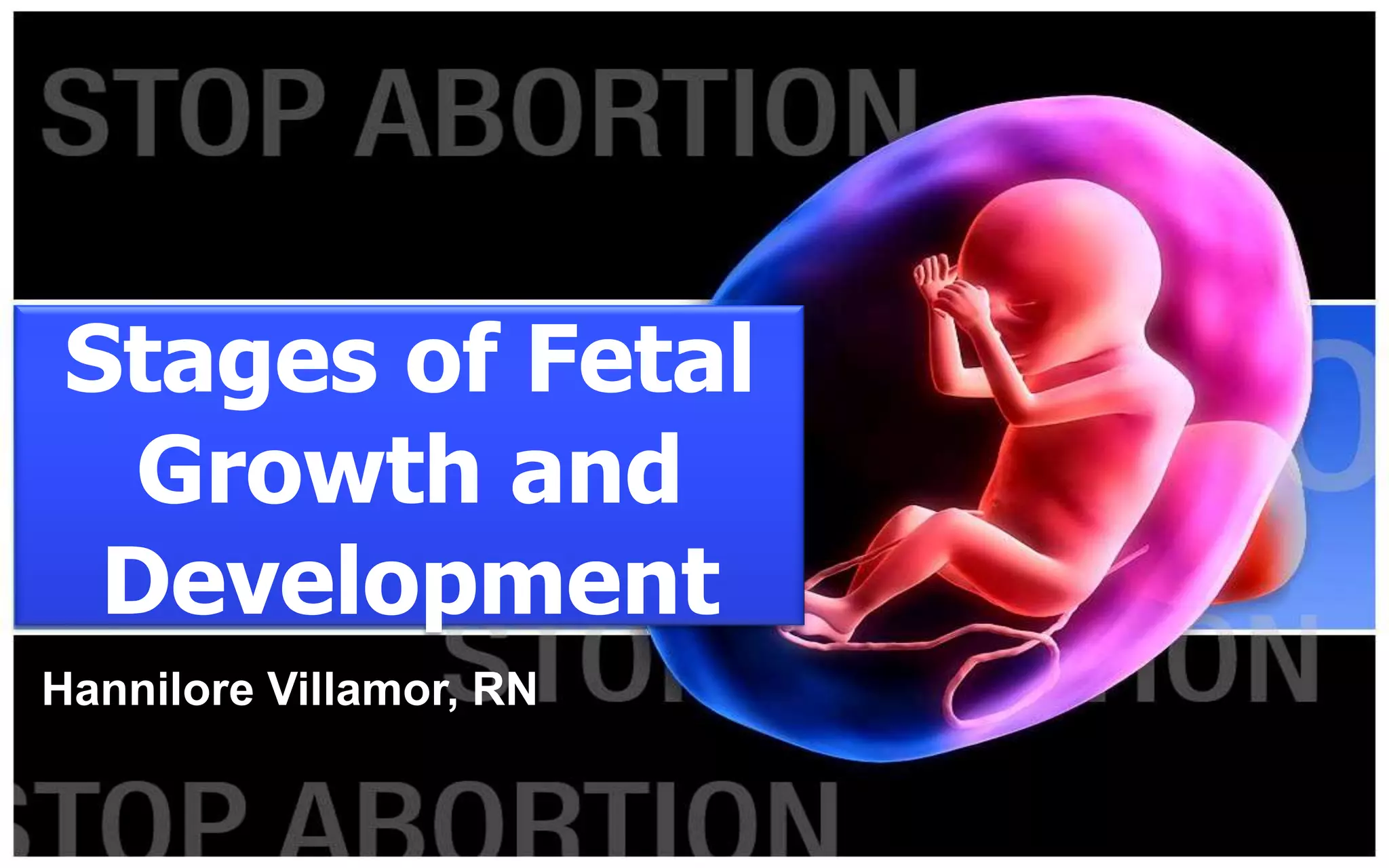 Stages of fetal growth and development | PPTX