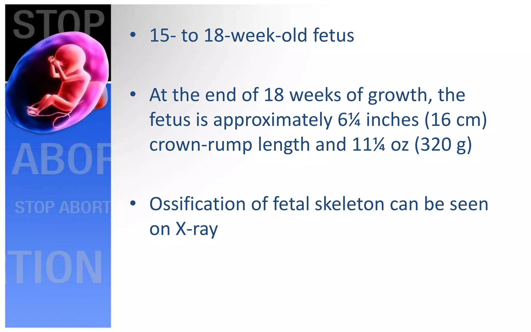 Stages of fetal growth and development | PPTX