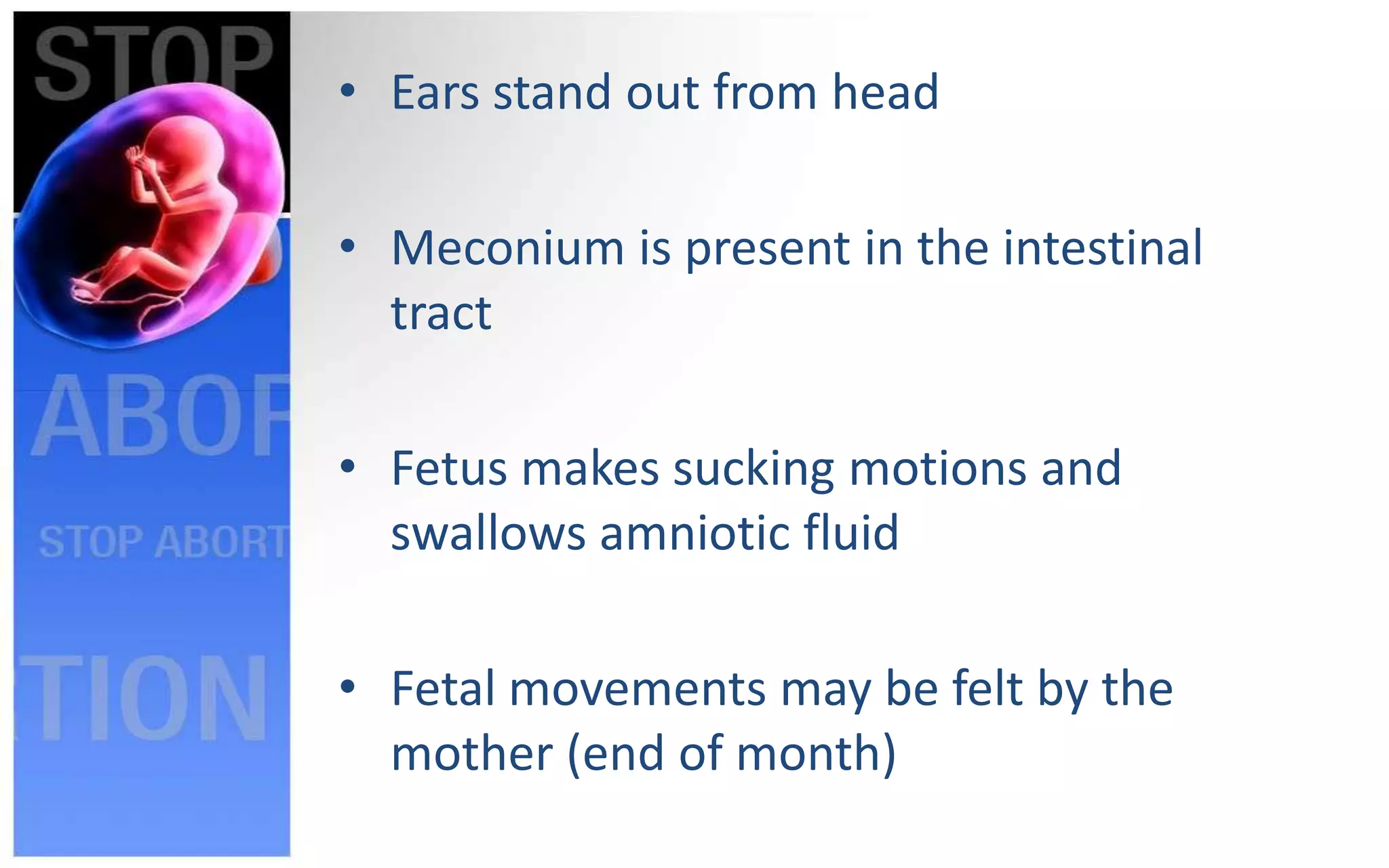 Stages of fetal growth and development | PPTX