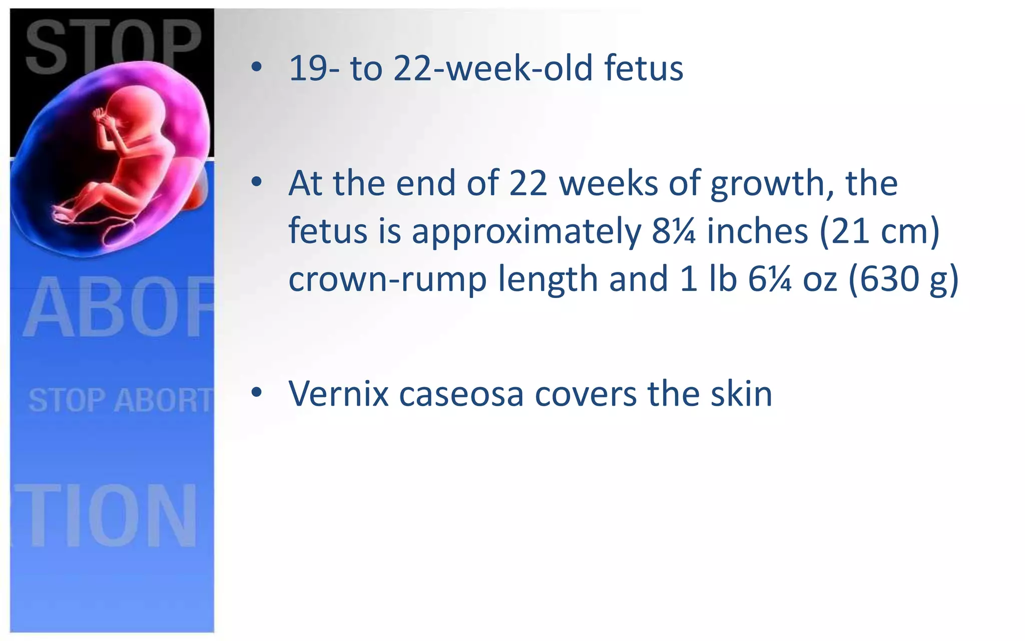 Stages of fetal growth and development | PPTX