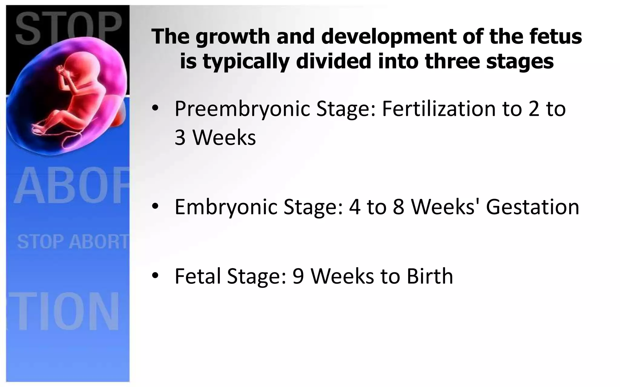 Stages of fetal growth and development | PPTX
