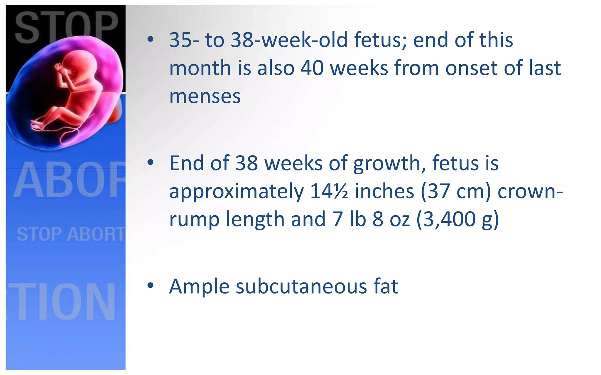 Stages of fetal growth and development | PPTX