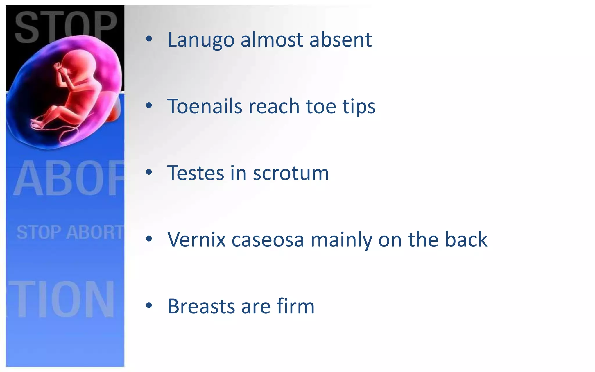 Stages of fetal growth and development | PPTX