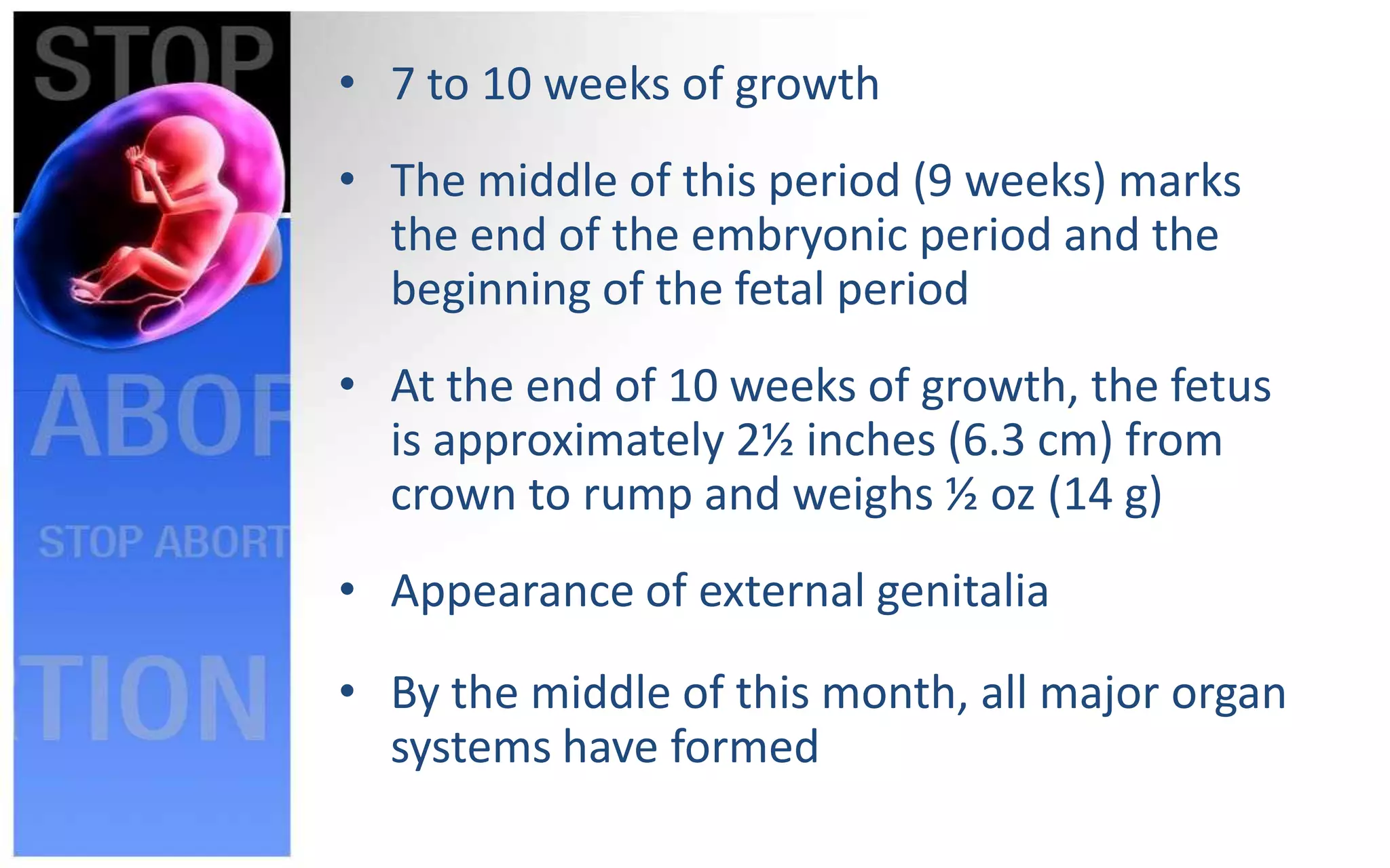Stages of fetal growth and development | PPTX
