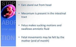 Stages of fetal growth and development | PPTX