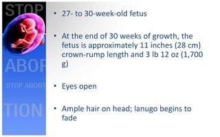 Stages of fetal growth and development | PPTX
