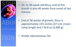Stages of fetal growth and development | PPTX