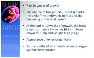 Stages of fetal growth and development | PPTX