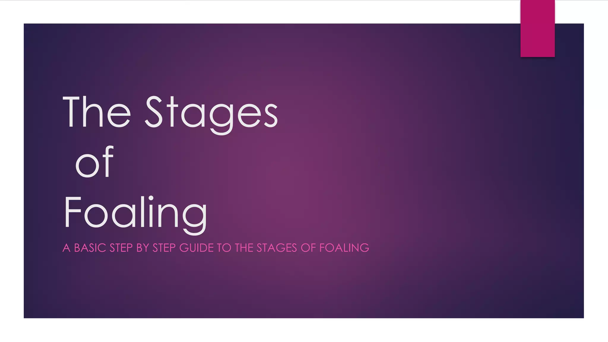 Stages of Foaling | PDF | Pregnancy | Reproductive Health